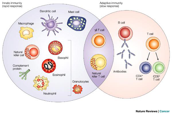 Natural Immunity